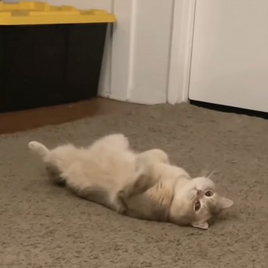 DannyPhantom7012 | Questionable Questing