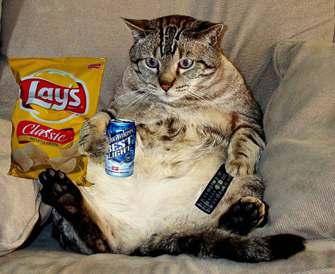 CouchPotatoMan | Questionable Questing