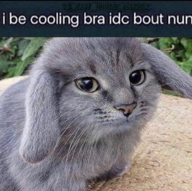 m3g4pa22w0rd | Questionable Questing