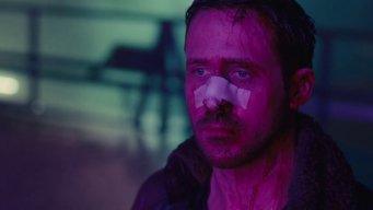 electric-herbivore | Questionable Questing